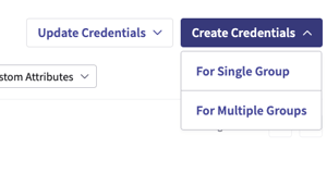 How to Issue a Batch Of Credentials - Spreadsheet Upload